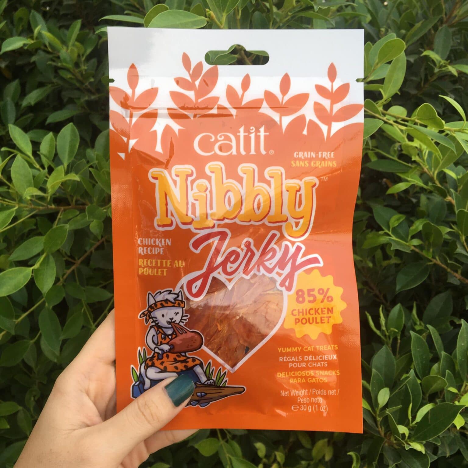 Catit Nibbly Jerky Chicken แคทอิท เจอร์กี้ ขนมแมวรสไก่ 30g. – iPet Shop