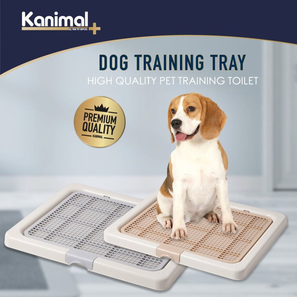 Kanimal Dog Training Tray L Beige Color ห้องน้ำสุนัข 65*52*4.5cm ...